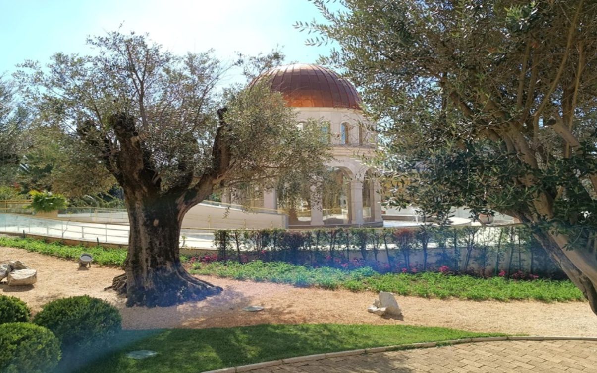 Dia das Mães: Memorial do Jardim Bíblico reabre após reforma